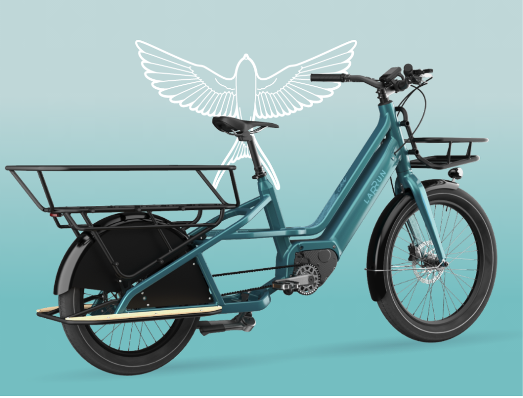 Projets – Antidote